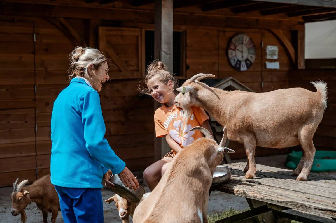 Casa Móvel ∙ 1 Quarto ∙ 6 Hóspedes - Maastricht