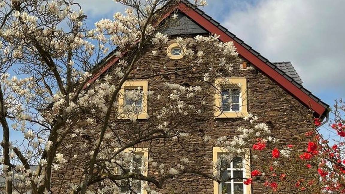 120 M² Appartement ∙ 4 Chambres ∙ 9 Personnes - Bernkastel-Kues