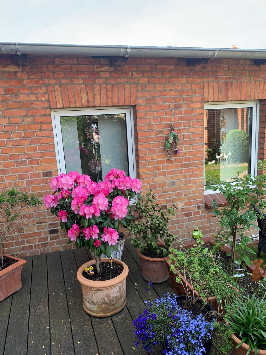 32 M² Ferienwohnung ∙ 1 Schlafzimmer ∙ 2 Gäste - Teterow