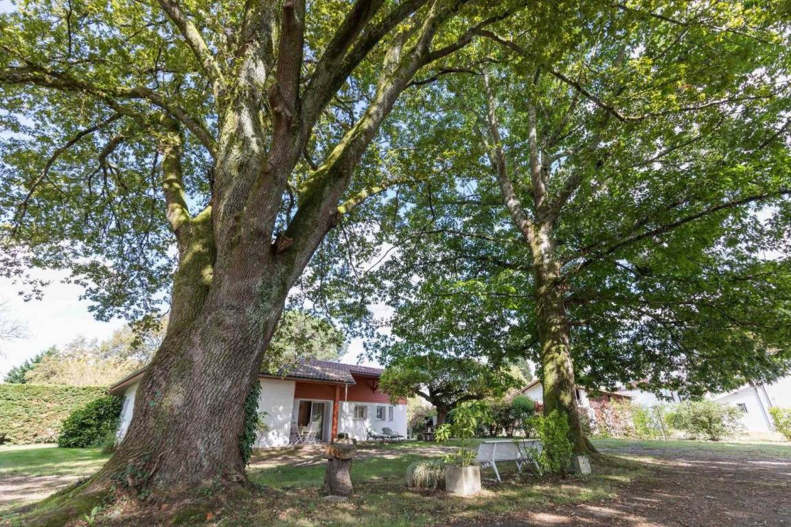 85 M² Gîte ∙ 3 Chambres ∙ 6 Personnes - Landes