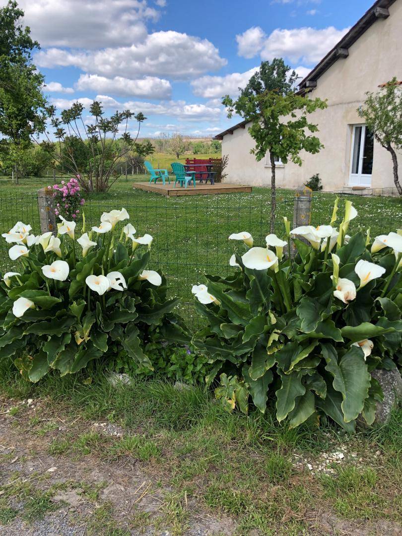 110 M² Gîte ∙ 1 Chambre ∙ 2 Personnes - Vallée de la Loire