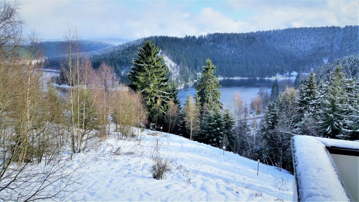95 M² Ferienwohnung ∙ 3 Schlafzimmer ∙ 10 Gäste - Harz