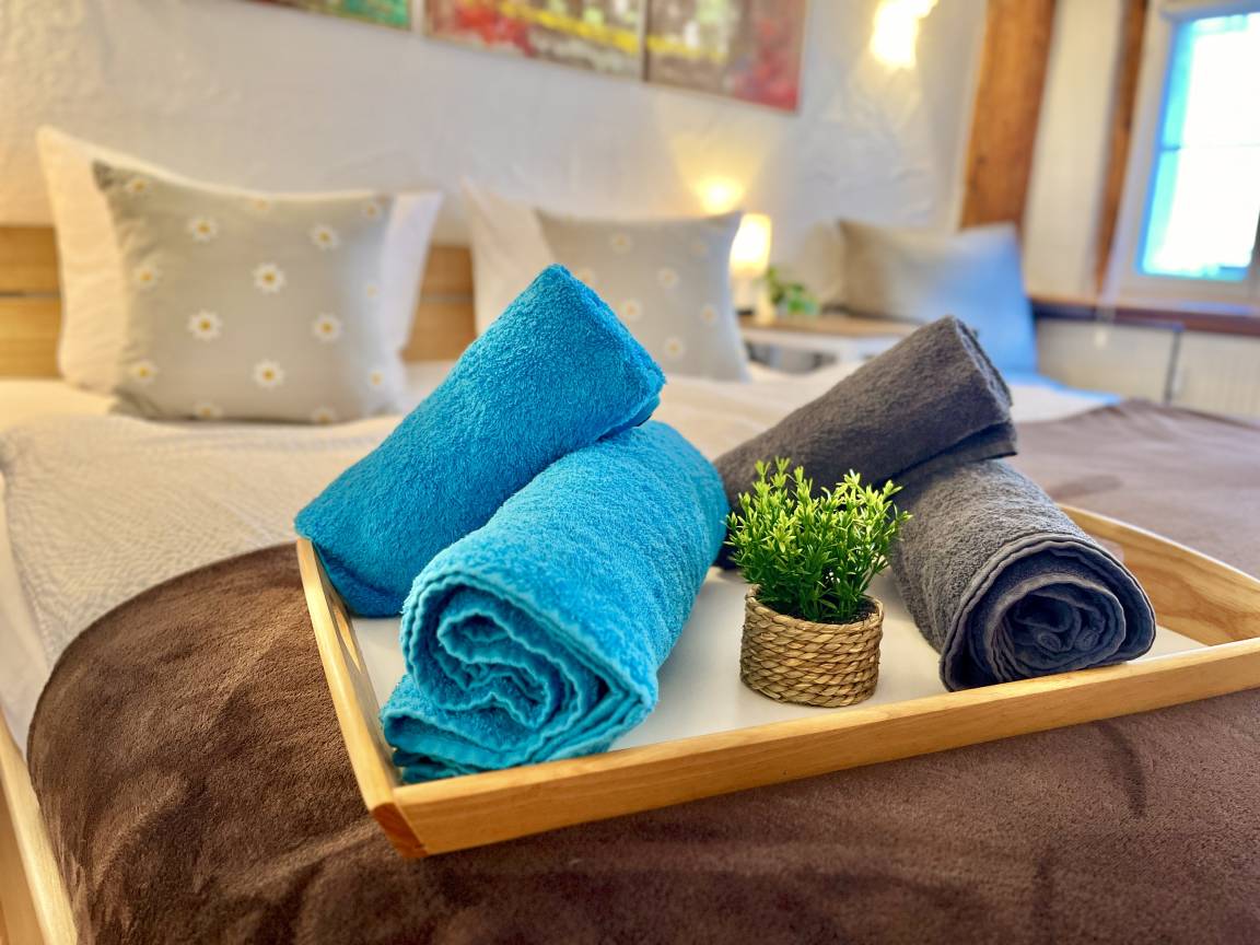Ferienwohnung ∙ 1 Schlafzimmer ∙ 1 Gast - Konstanz, Deutschland