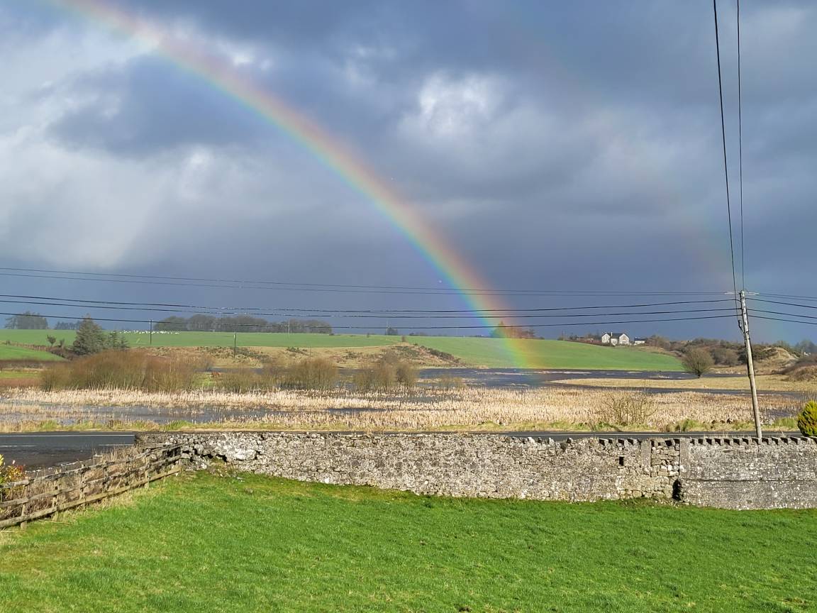 40 M² Cottage ∙ 2 Bedrooms ∙ 4 Guests - County Galway