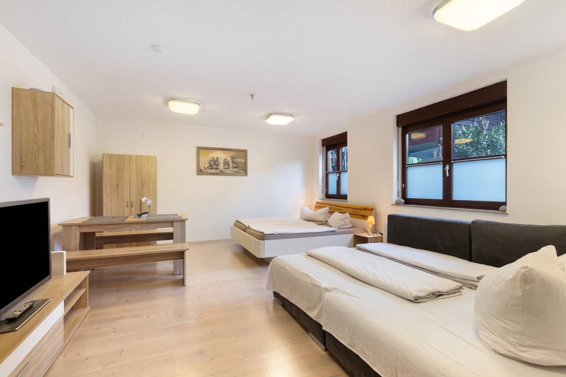 40 M² Ferienwohnung ∙ 1 Schlafzimmer ∙ 4 Gäste - Tettnang