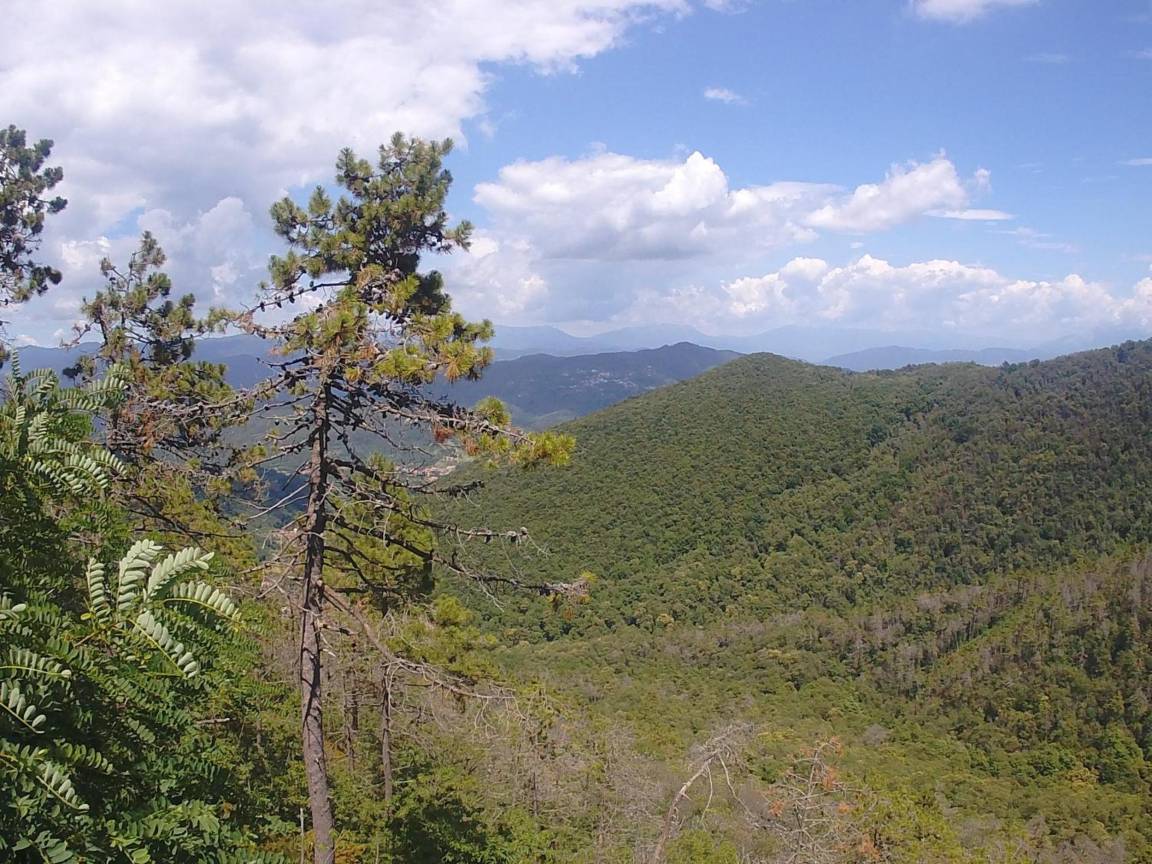 55 M² Apartment ∙ 2 Bedrooms ∙ 4 Guests - Manarola