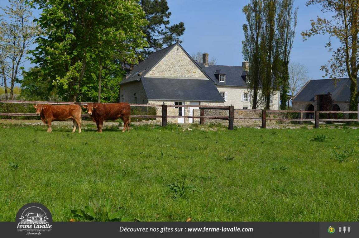40 M² Gîte ∙ 1 Chambre ∙ 2 Personnes - Basse-Normandie