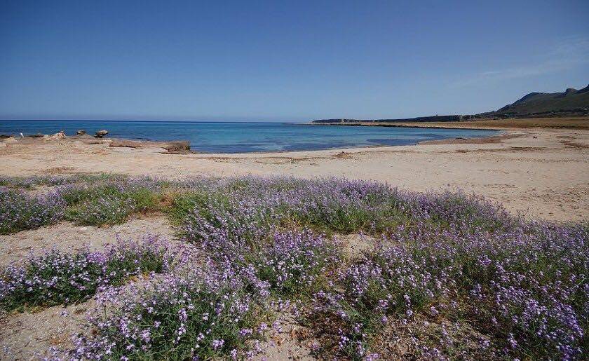 40 M² Villa Vacanza ∙ 1 Camera Da Letto ∙ 4 Ospiti - Custonaci