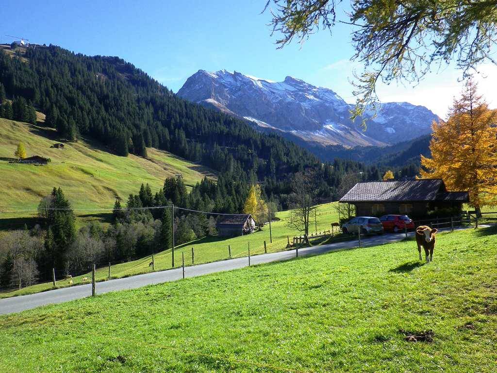 Apartment ∙ 3 Bedrooms ∙ 7 Guests - Adelboden