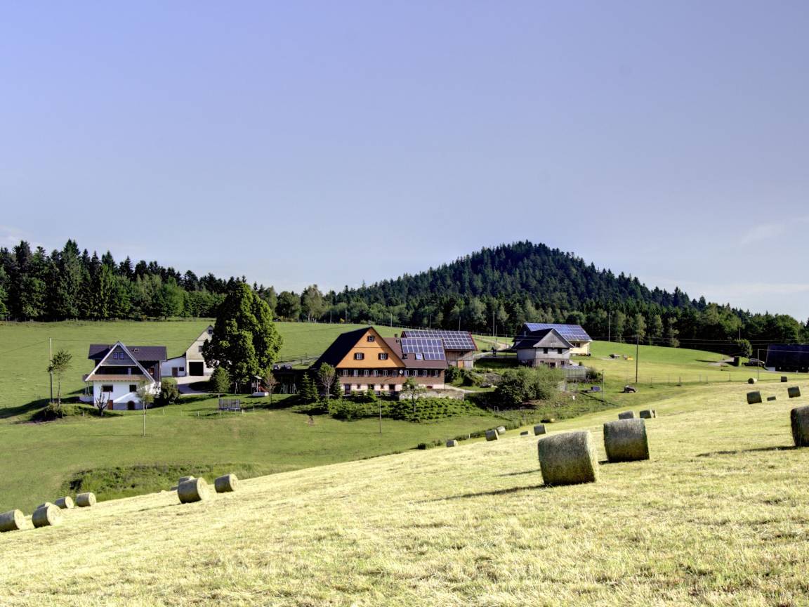 44 M² Apartment ∙ 1 Bedroom ∙ 2 Guests - Black Forest