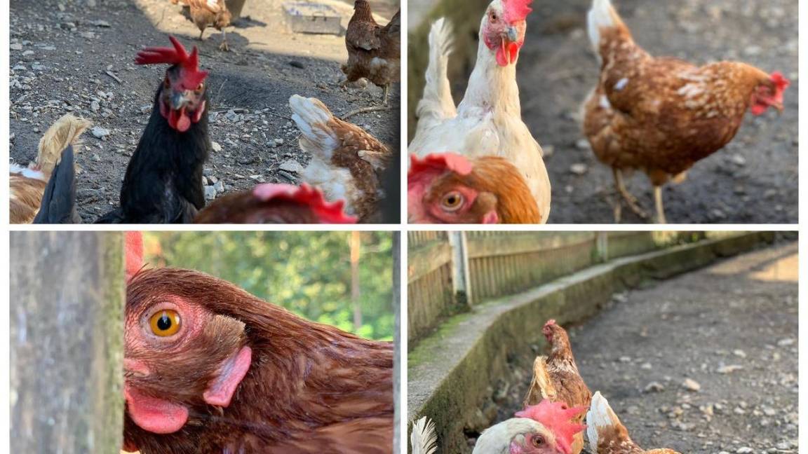 Hotel ∙ 2 Guests - Bad Kötzting