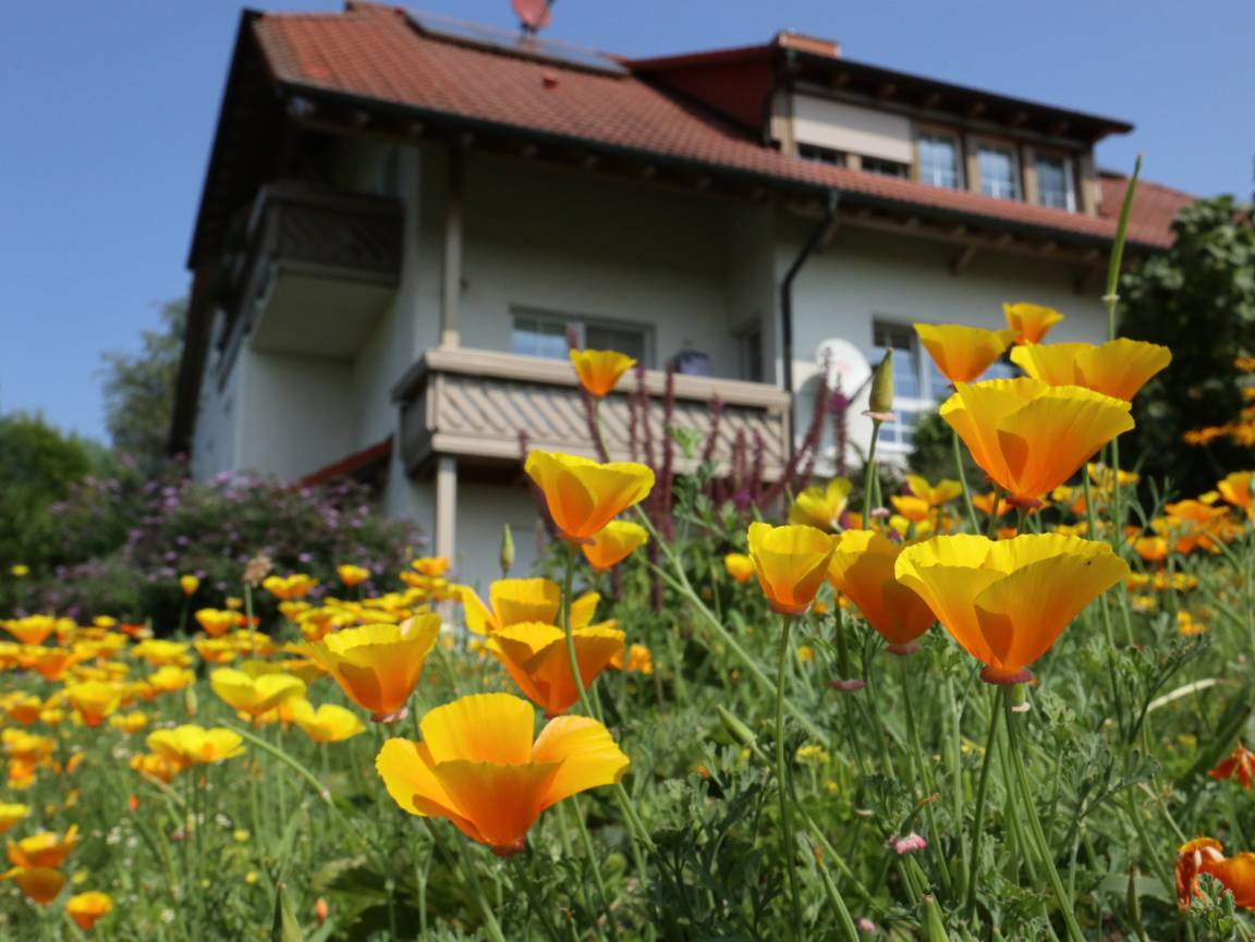 65 M² Ferienwohnung ∙ 2 Schlafzimmer ∙ 4 Gäste - Bad Säckingen