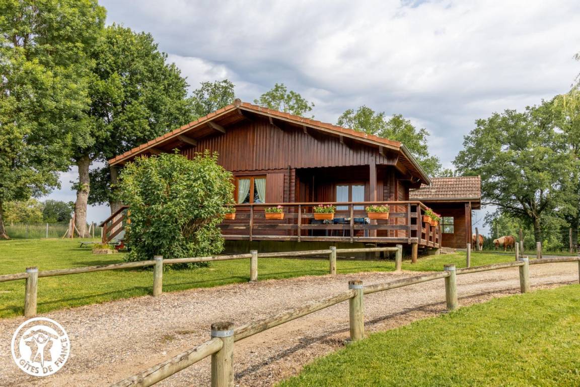 40 M² Gîte ∙ 2 Bedrooms ∙ 4 Guests - Vichy
