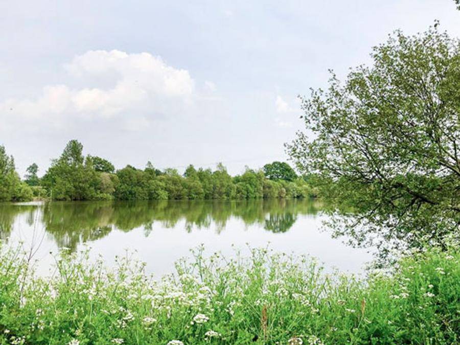 16 M² Bungalow ∙ 2 Slaapkamers ∙ 4 Gasten - Vendée