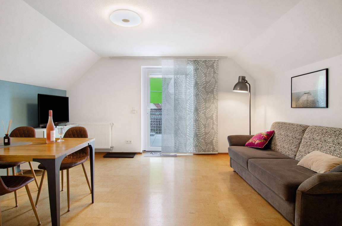 55 M² Apartment ∙ 1 Bedroom ∙ 4 Guests - Konstanz