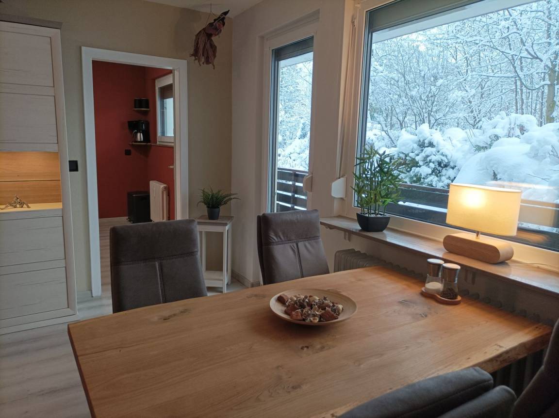 55 M² Apartament ∙ 1 Sypialnia ∙ 4 Gości - Schierke