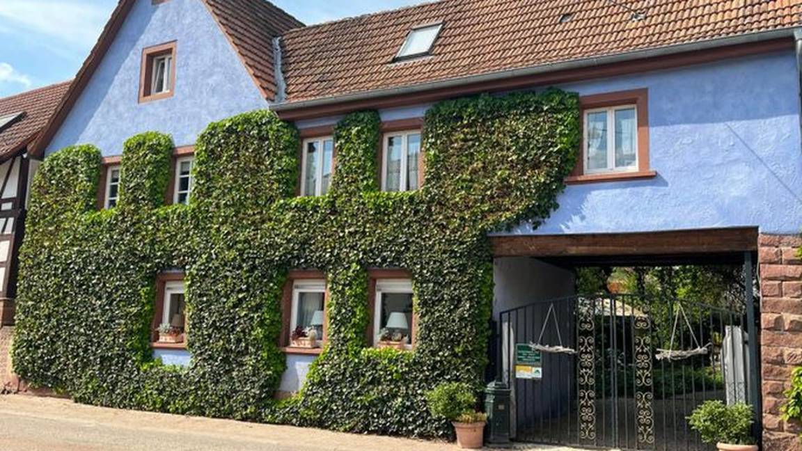 70 M² Hotel ∙ 2 Slaapkamers ∙ 5 Gasten - Bad Bergzabern