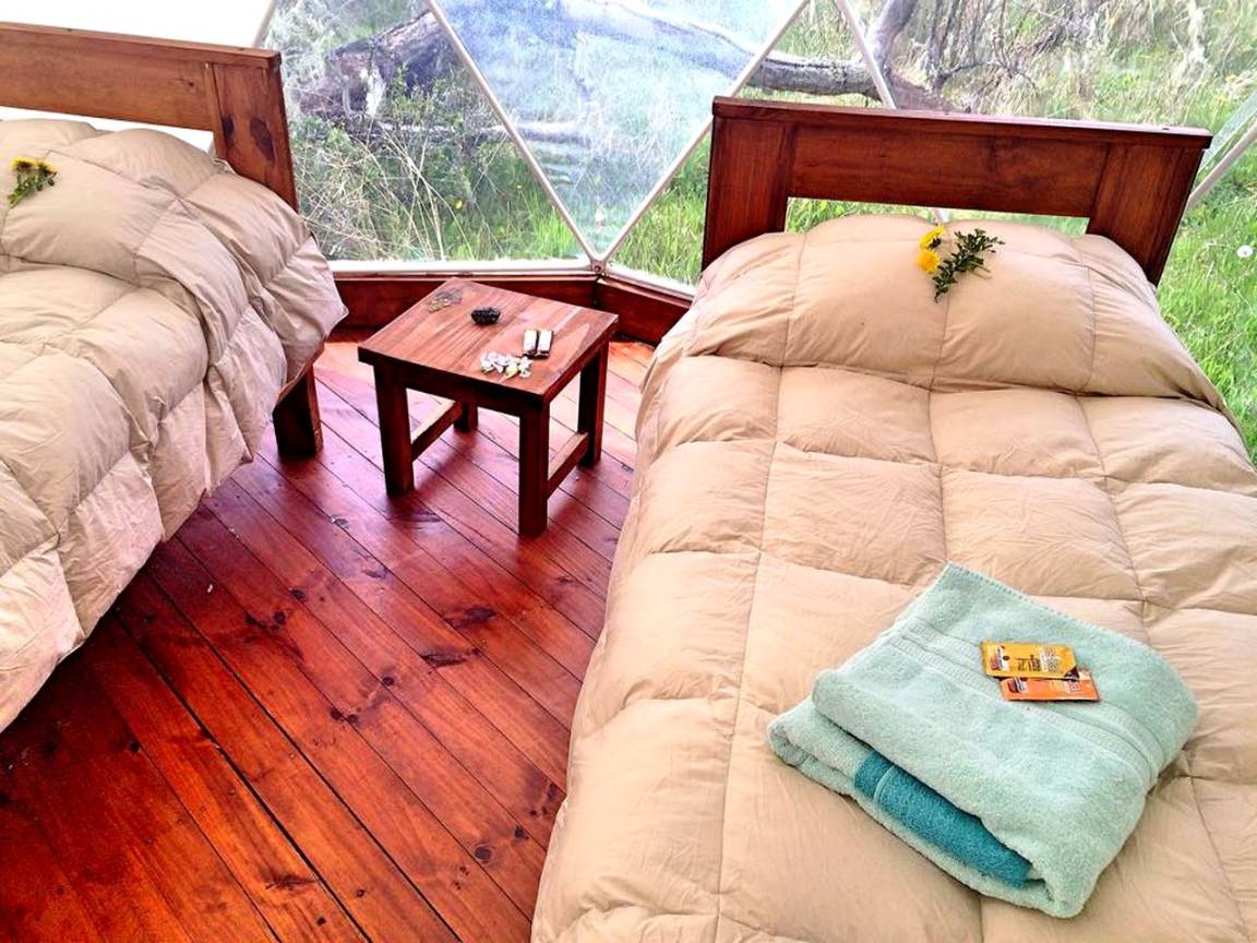 Camping-unterkunft ∙ 1 Schlafzimmer ∙ 2 Gäste - Natales