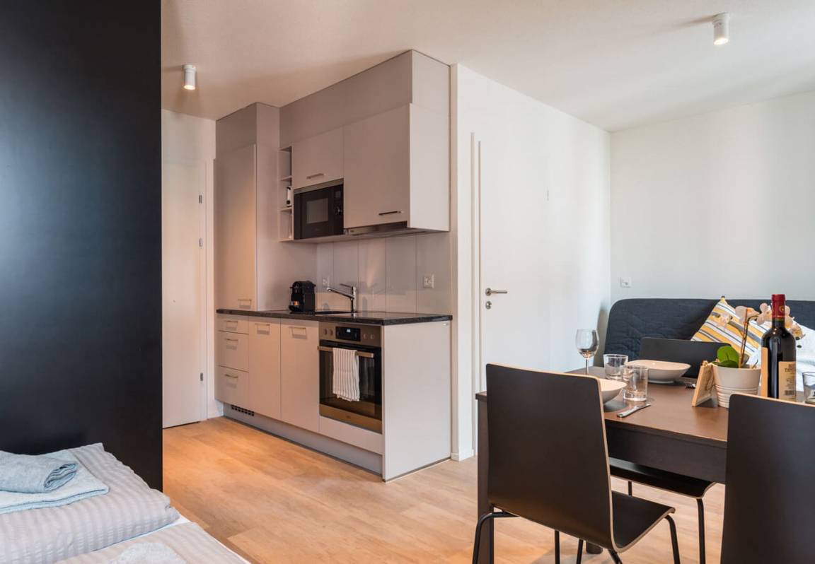 25 M² Studio Flat ∙ 3 Guests - Zürich