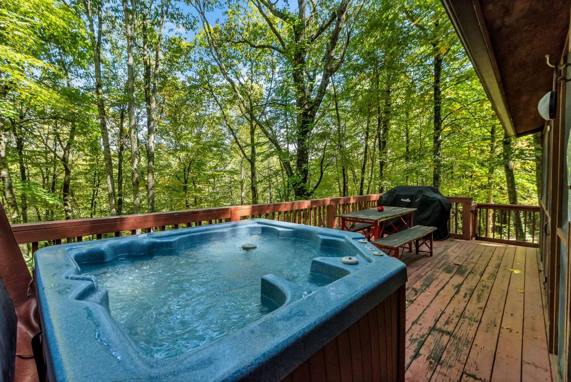 Cabin ∙ 2 Bedrooms ∙ 6 Guests - West Jefferson, NC