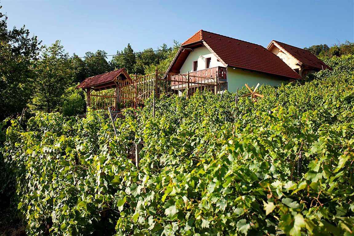 48 M² House ∙ 2 Bedrooms ∙ 5 Guests - Šmarješke Toplice
