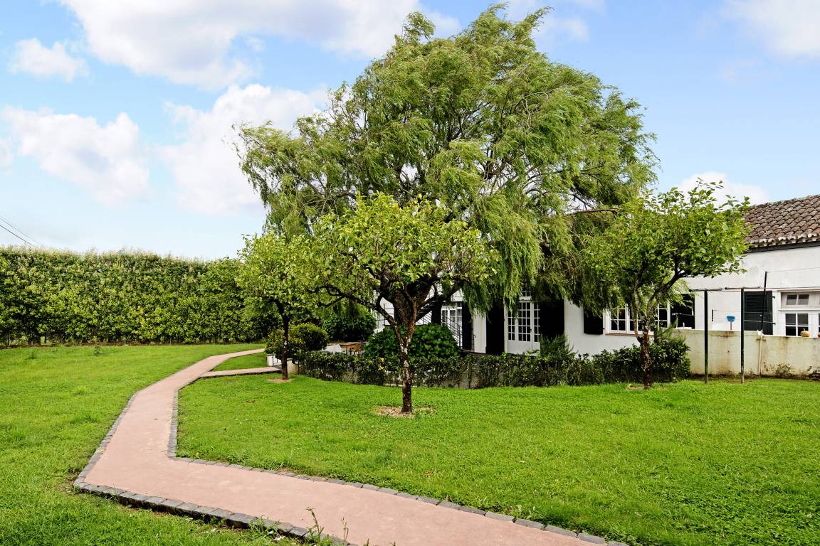 60 M² Lodge ∙ 2 Bedrooms ∙ 4 Guests - Azores