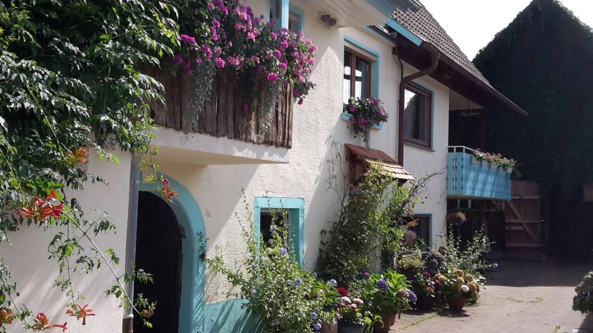 45 M² Ferienwohnung ∙ 4 Gäste - Herbolzheim