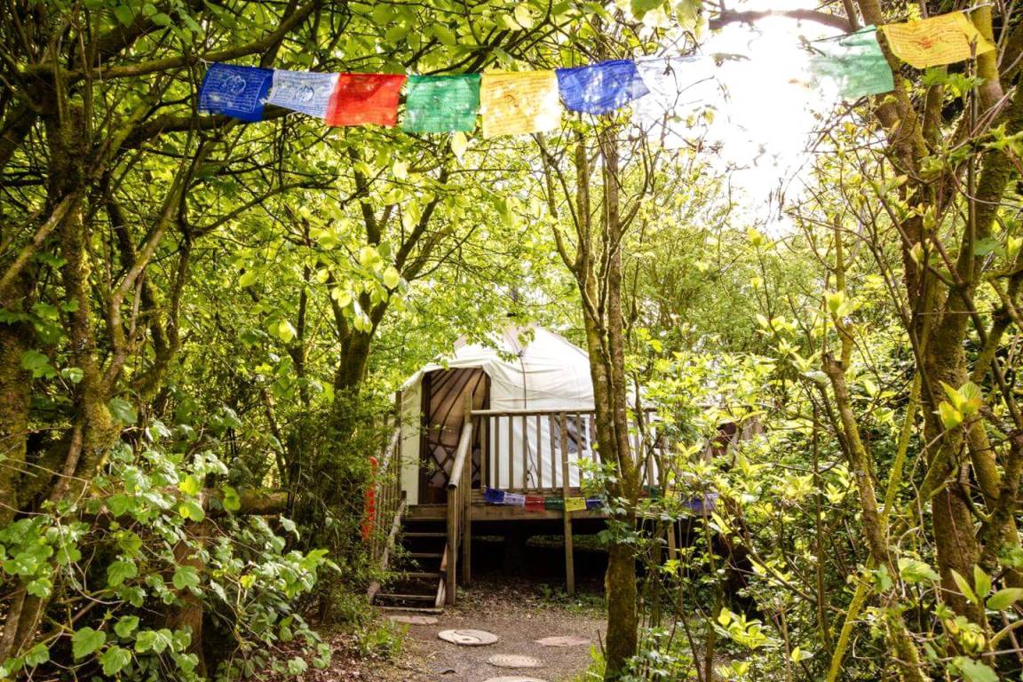 Camping ∙ 1 Bedroom ∙ 4 Guests - Pembrokeshire