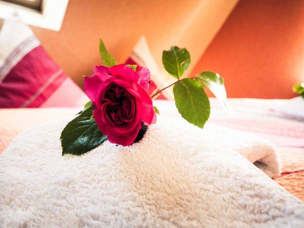 45 M² Ferienwohnung ∙ 1 Schlafzimmer ∙ 4 Gäste - Trassenheide