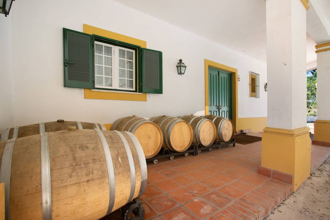 600 M² Villa ∙ 5 Habitaciones ∙ 10 Huéspedes - Rio Maior