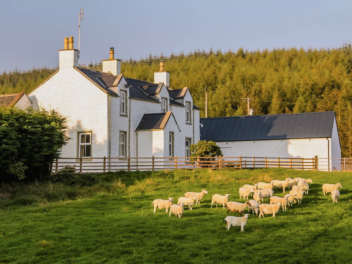 Cottage ∙ 4 Bedrooms ∙ 8 Guests - Castle Douglas