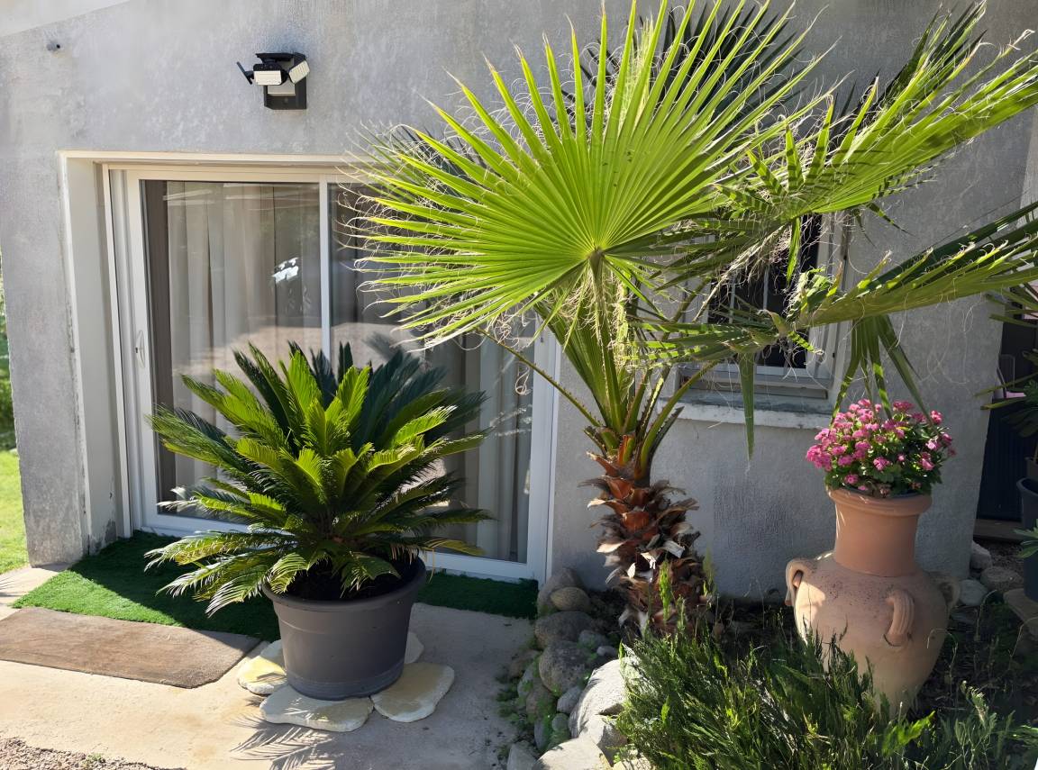 28 M² Bed & Breakfast ∙ 1 Schlafzimmer ∙ 2 Gäste - Ajaccio