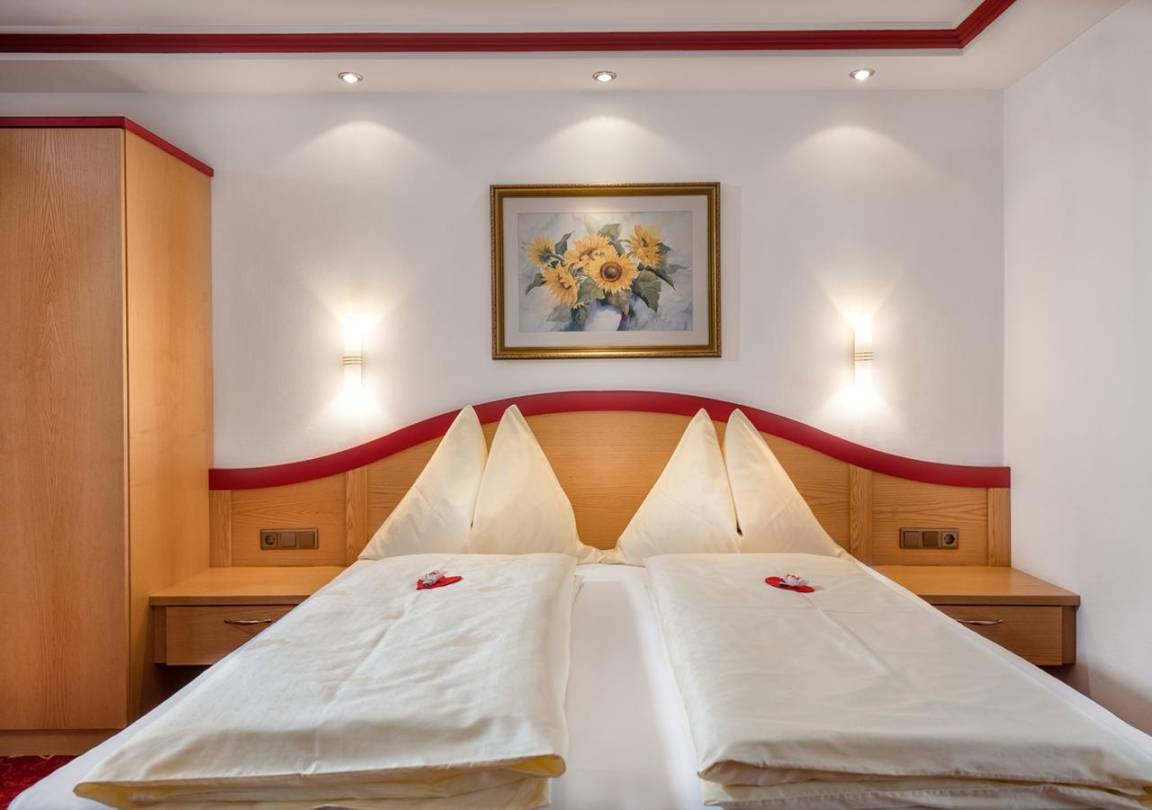 22 M² Hotel ∙ 1 Bedroom ∙ 2 Guests - Goldegg