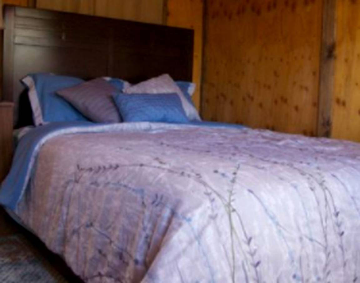 Lodge ∙ 1 Schlafzimmer ∙ 2 Gäste - Palmer, AK