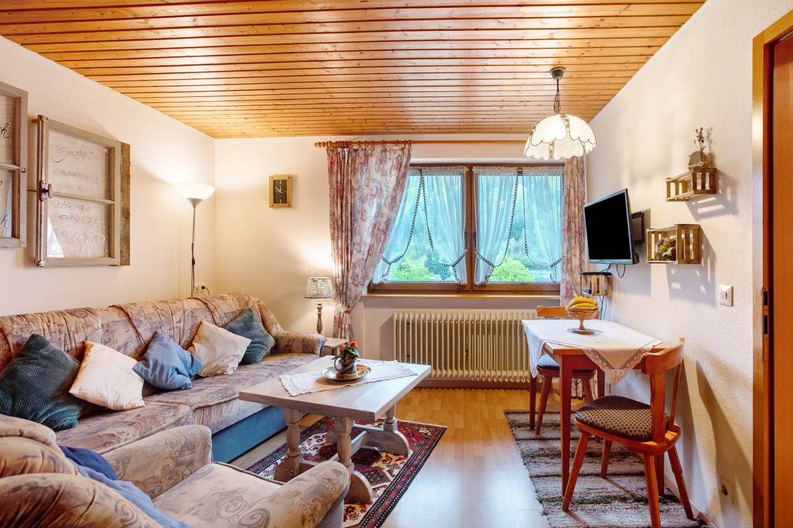 34 M² Apartamento ∙ 1 Habitación ∙ 2 Huéspedes - Todtmoos
