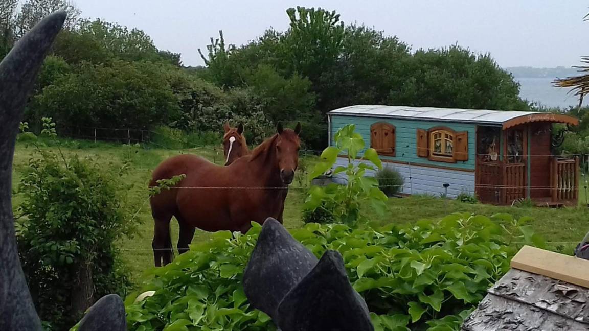 17 M² Chalet ∙ 1 Chambre ∙ 2 Personnes - Brest