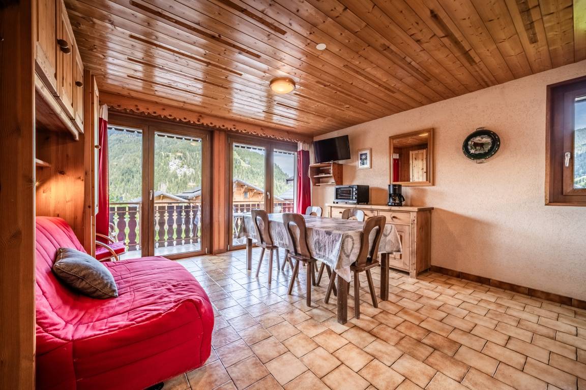 37 M² Aparthotel ∙ 1 Chambre ∙ 4 Personnes - Châtel