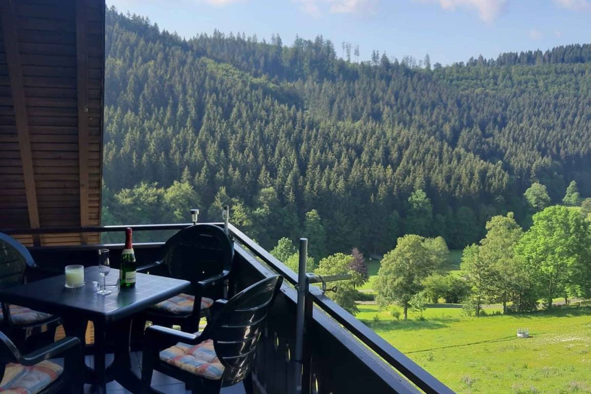 61 M² Ferienwohnung ∙ 2 Schlafzimmer ∙ 5 Gäste - Schmallenberg