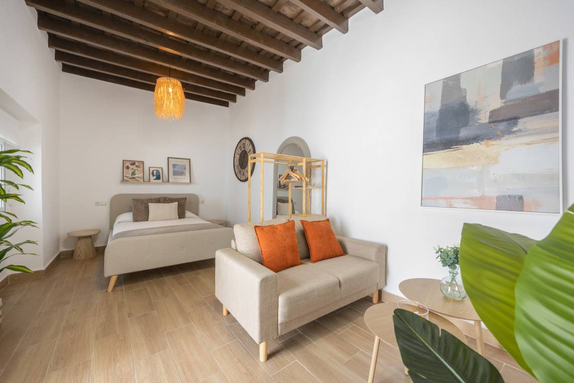 38 M² Apartment ∙ 1 Bedroom ∙ 2 Guests - Jerez de la Frontera
