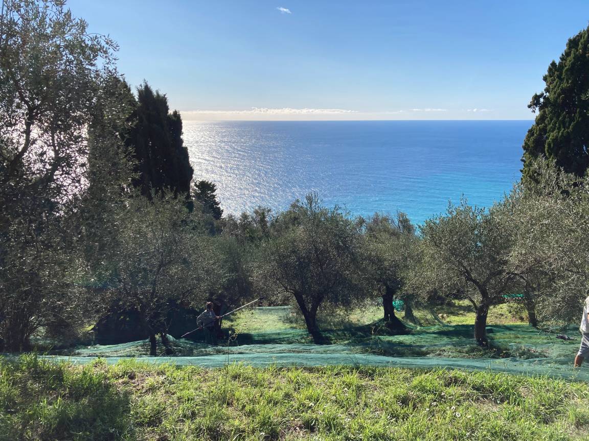 Farmhouse ∙ 2 Bedrooms ∙ 6 Guests - Diano Marina