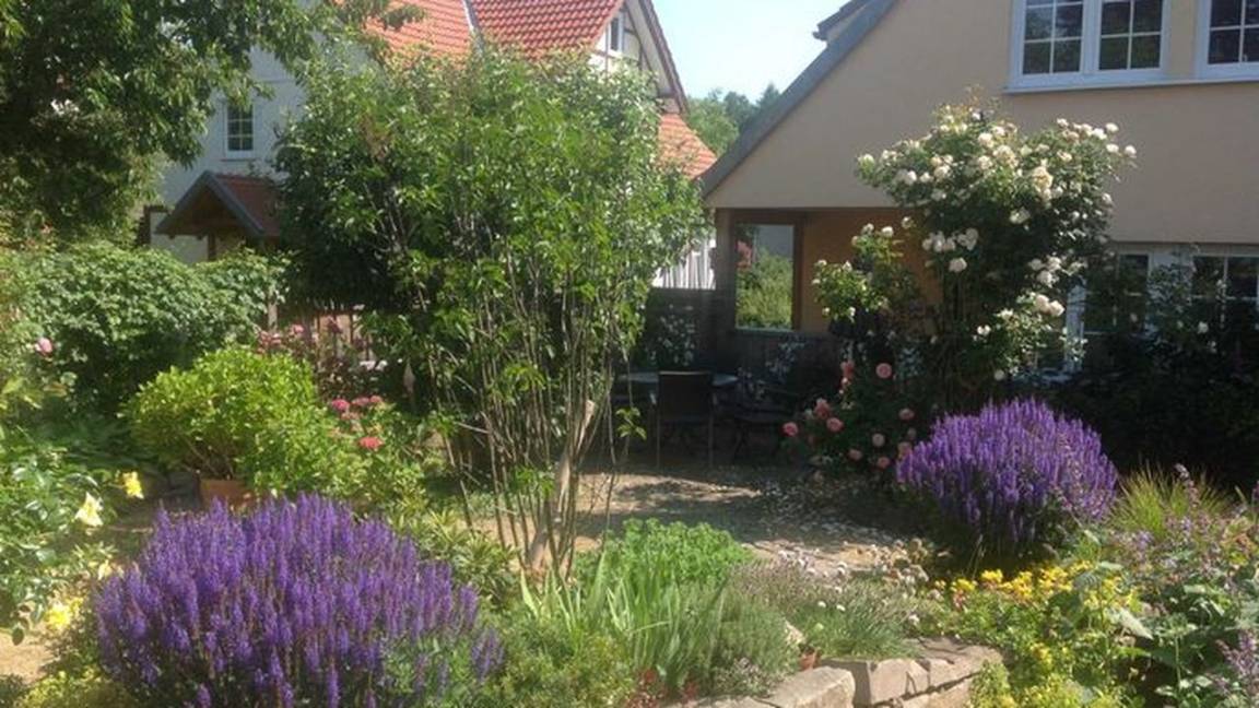 45 M² Appartement ∙ 1 Chambre ∙ 3 Personnes - Harz