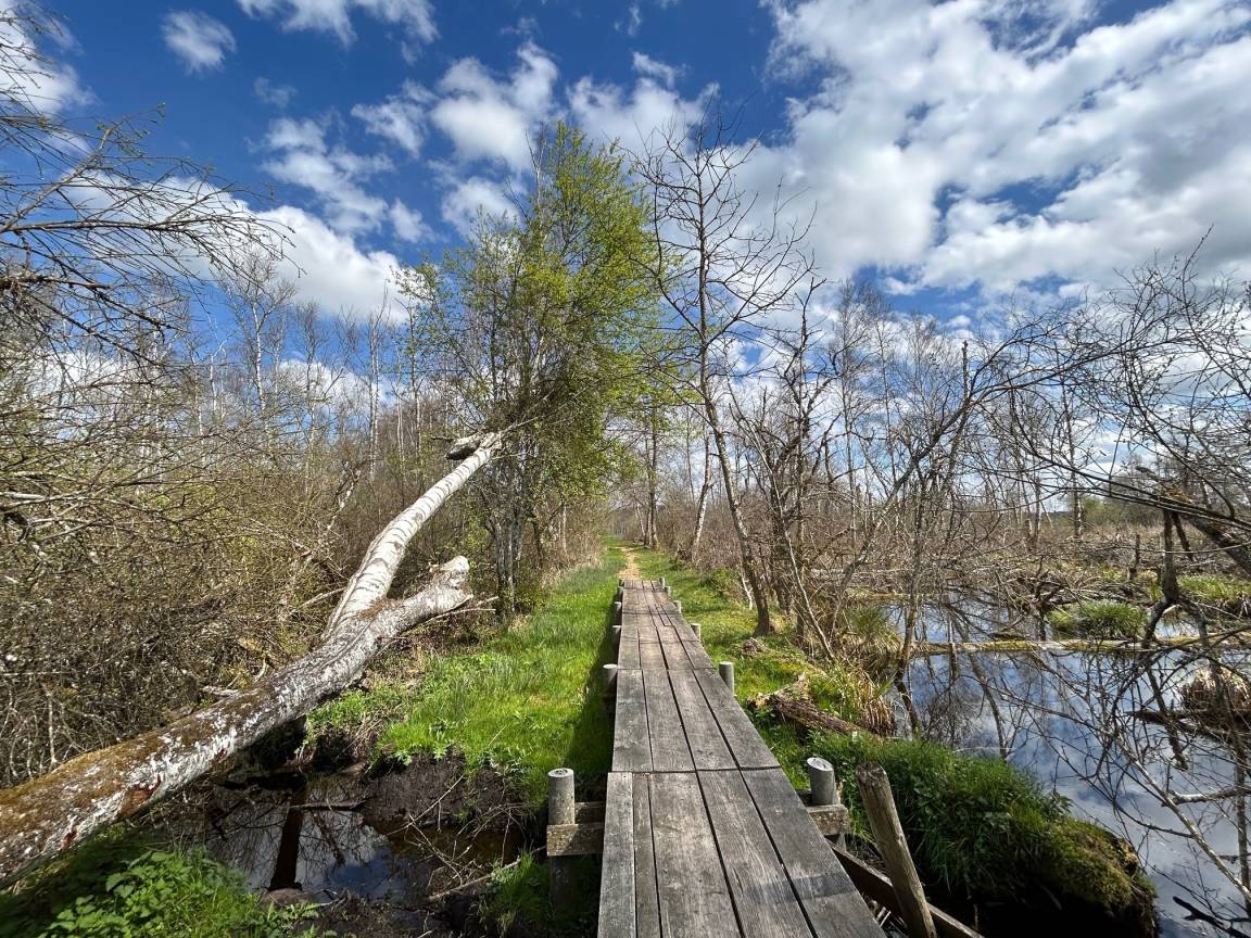 85 M² Ferienwohnung ∙ 2 Schlafzimmer ∙ 4 Gäste - Illmensee