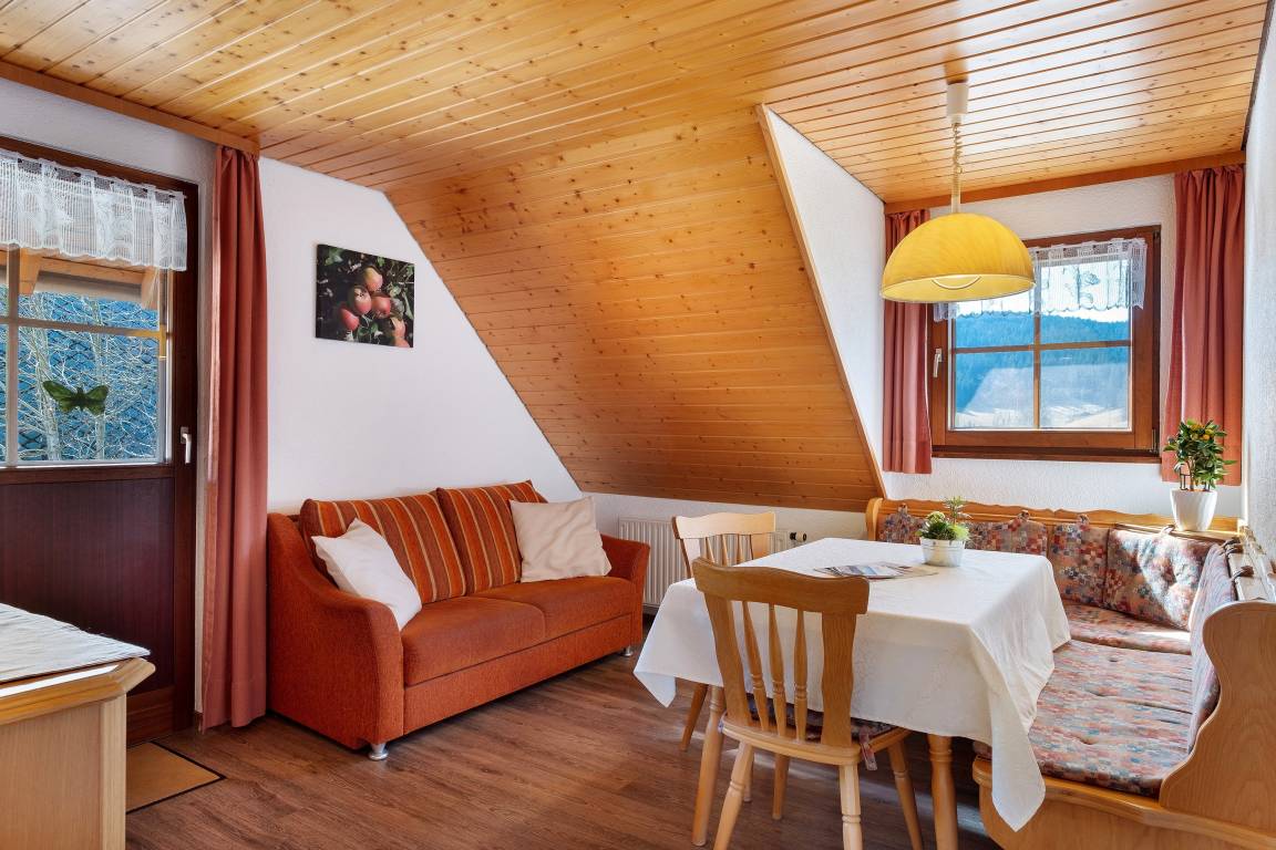 48 M² Apartment ∙ 2 Bedrooms ∙ 5 Guests - Titisee-Neustadt