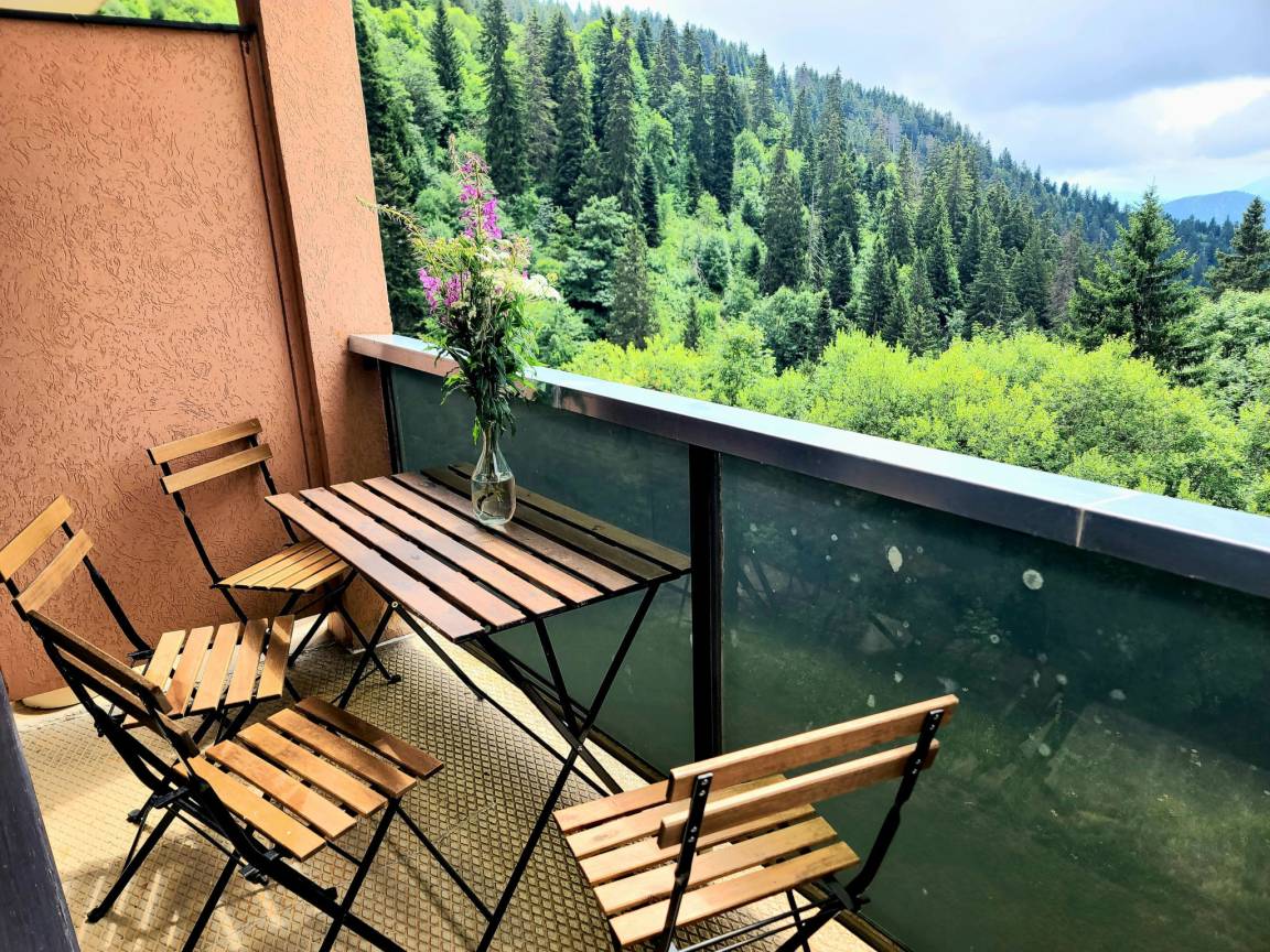 24 M² Appartement ∙ 5 Personnes - Chamrousse