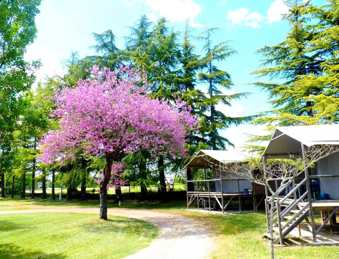 25 M² Mobil-home ∙ 2 Chambres ∙ 6 Personnes - Cahors