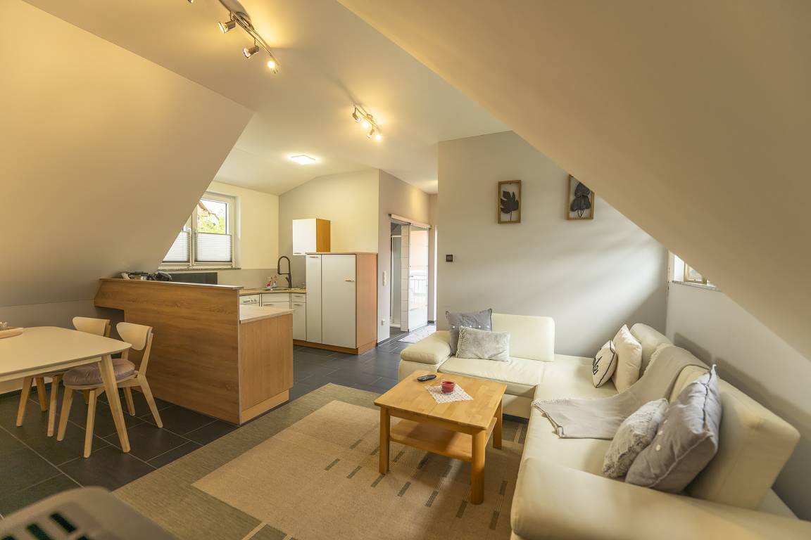 40 M² Ferienwohnung ∙ 1 Schlafzimmer ∙ 3 Gäste - Waidhaus