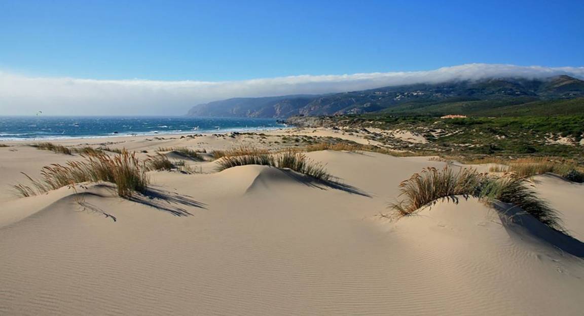 Villa ∙ 5 Bedrooms ∙ 9 Guests - Cascais