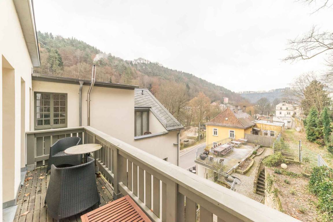 45 M² Apartamento ∙ 1 Habitación ∙ 4 Huéspedes - Bad Schandau