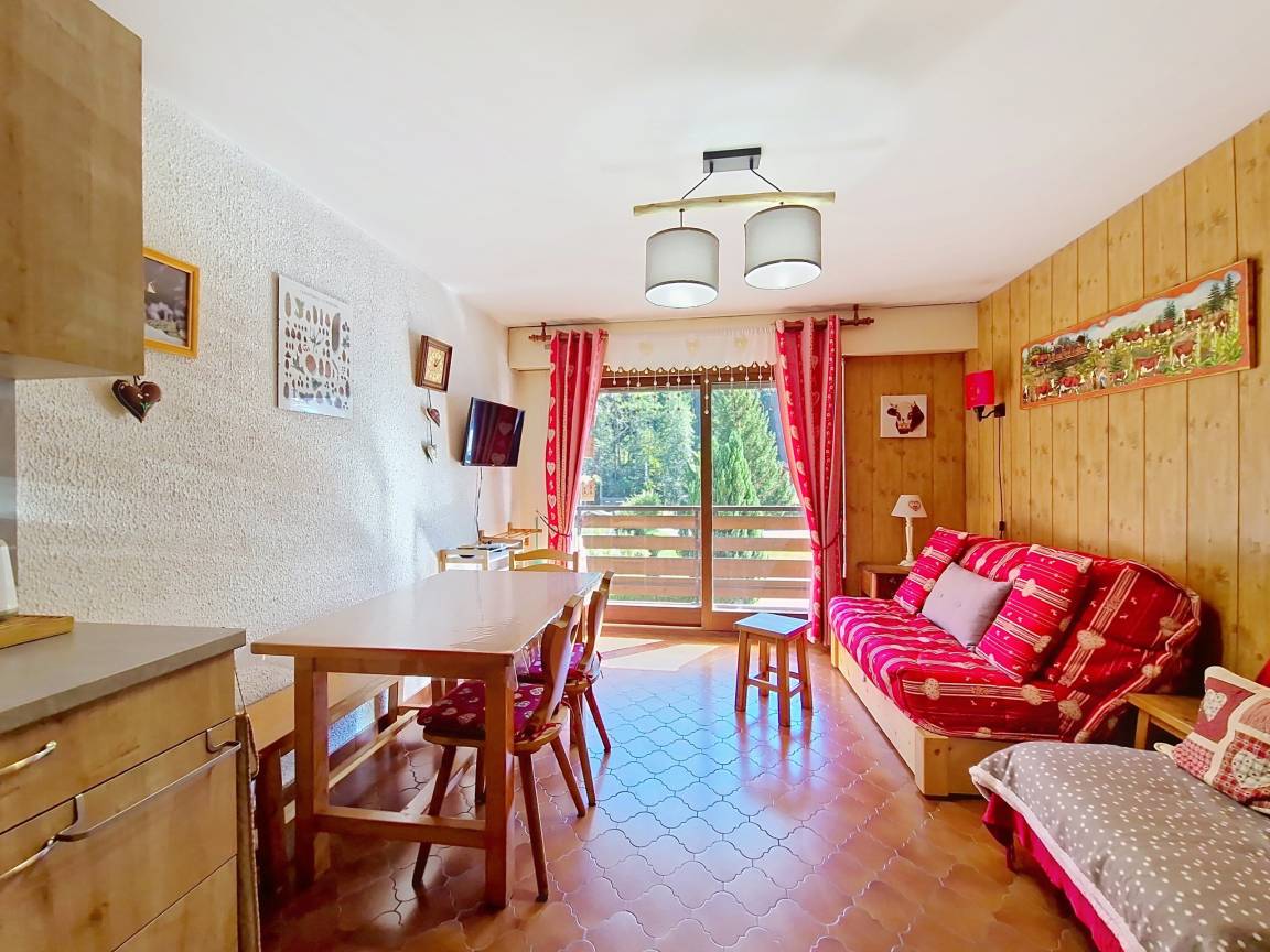 24 M² Studio Flat ∙ 4 Guests - Châtel