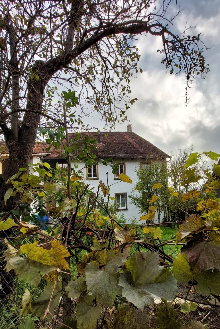 53 M² Appartement ∙ 1 Chambre ∙ 3 Personnes - Canton de Jura